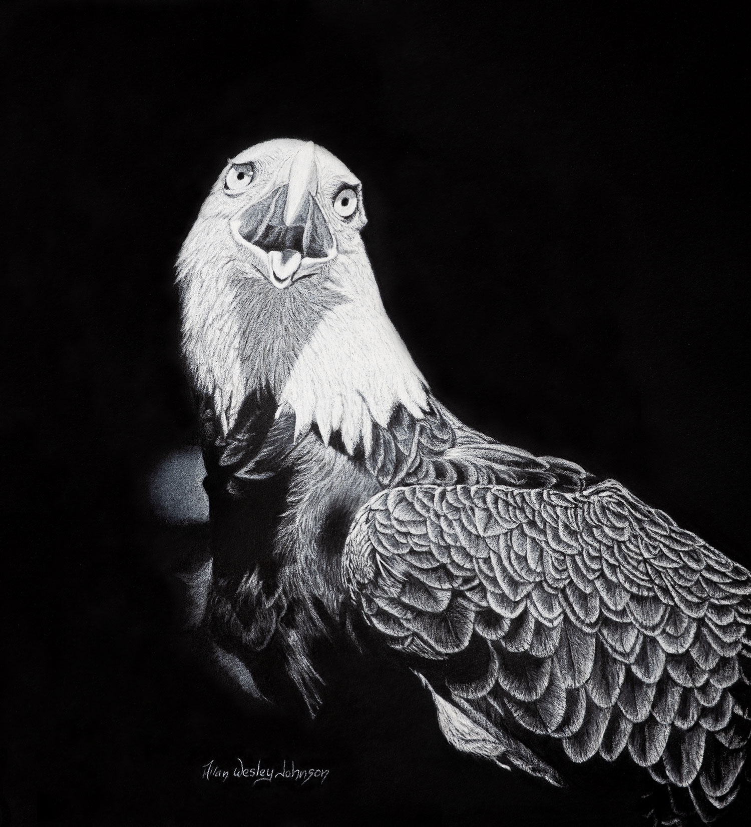 Screaming Eagle - Treez Studio